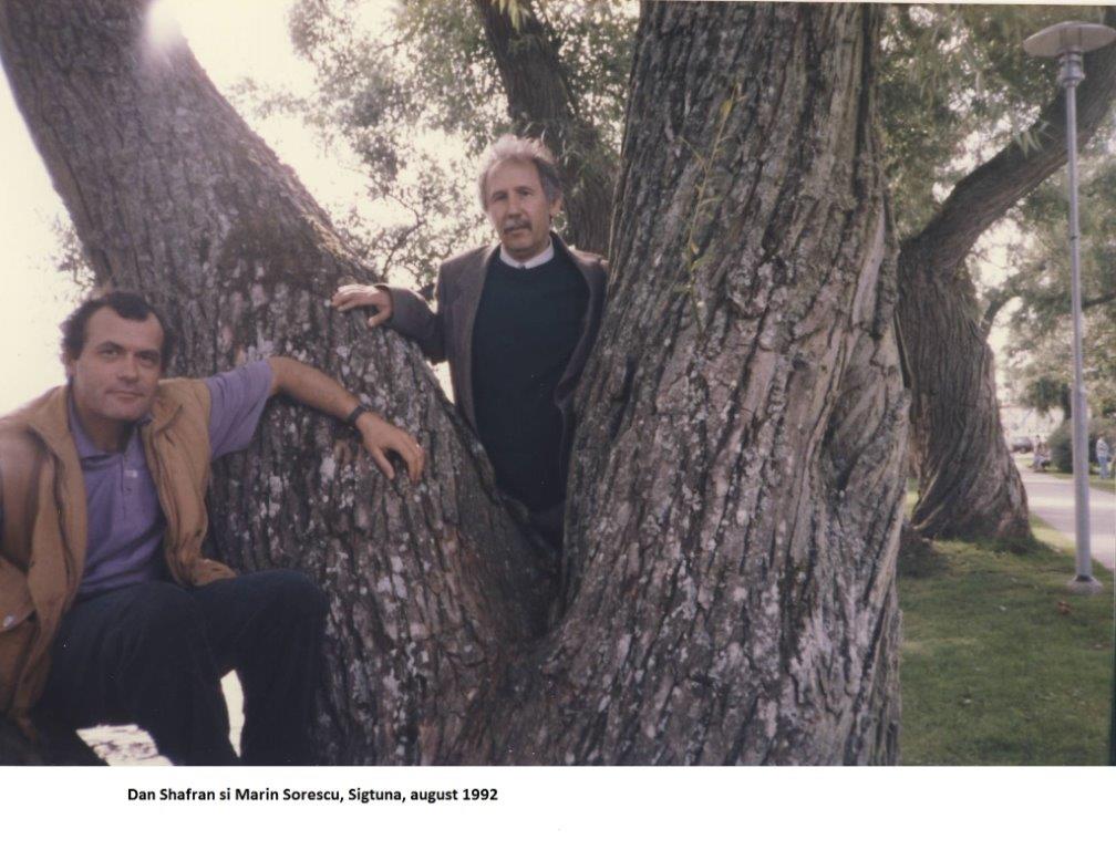 Premiul „Sorescu“ din Suedia, râvnit în țara lui Nobel - GAZETA de SUD