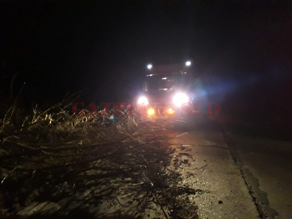 Vântul puternic a făcut prăpăd în mai multe localităţi din Gorj ...