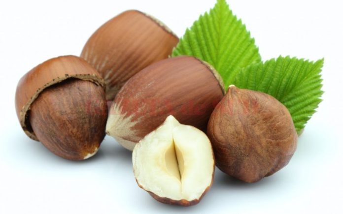 Alunele, bune pentru sănătatea oaselor - GAZETA de SUD