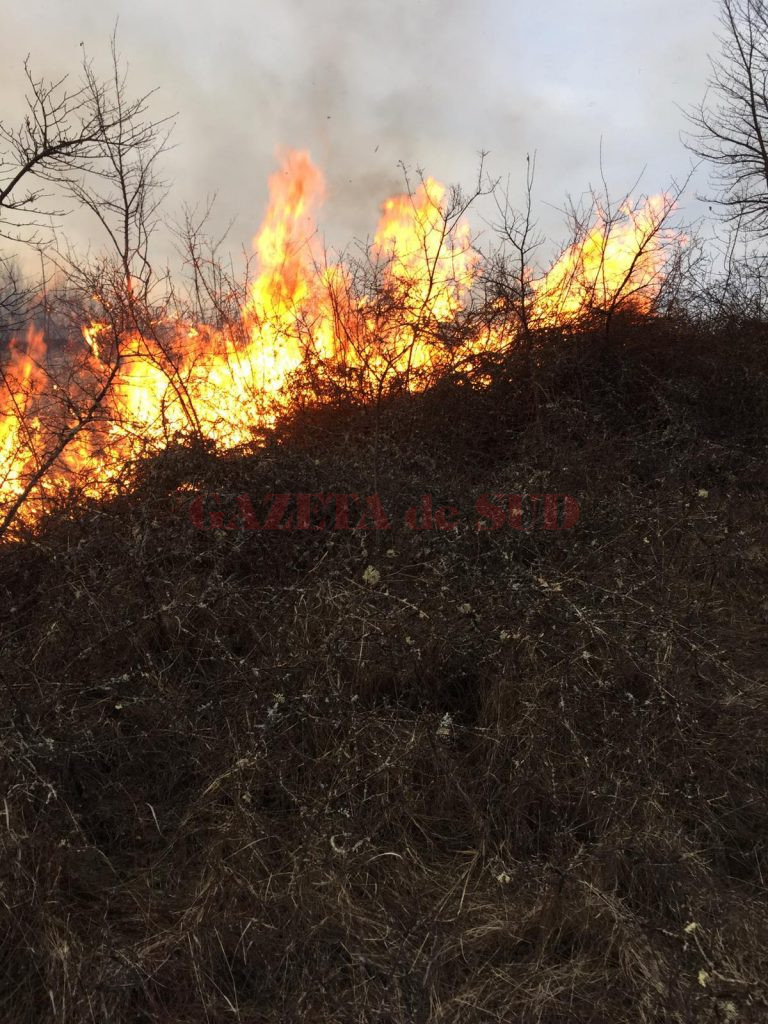 Atenție la arderea miriștilor și vegetației uscate! - GAZETA de SUD