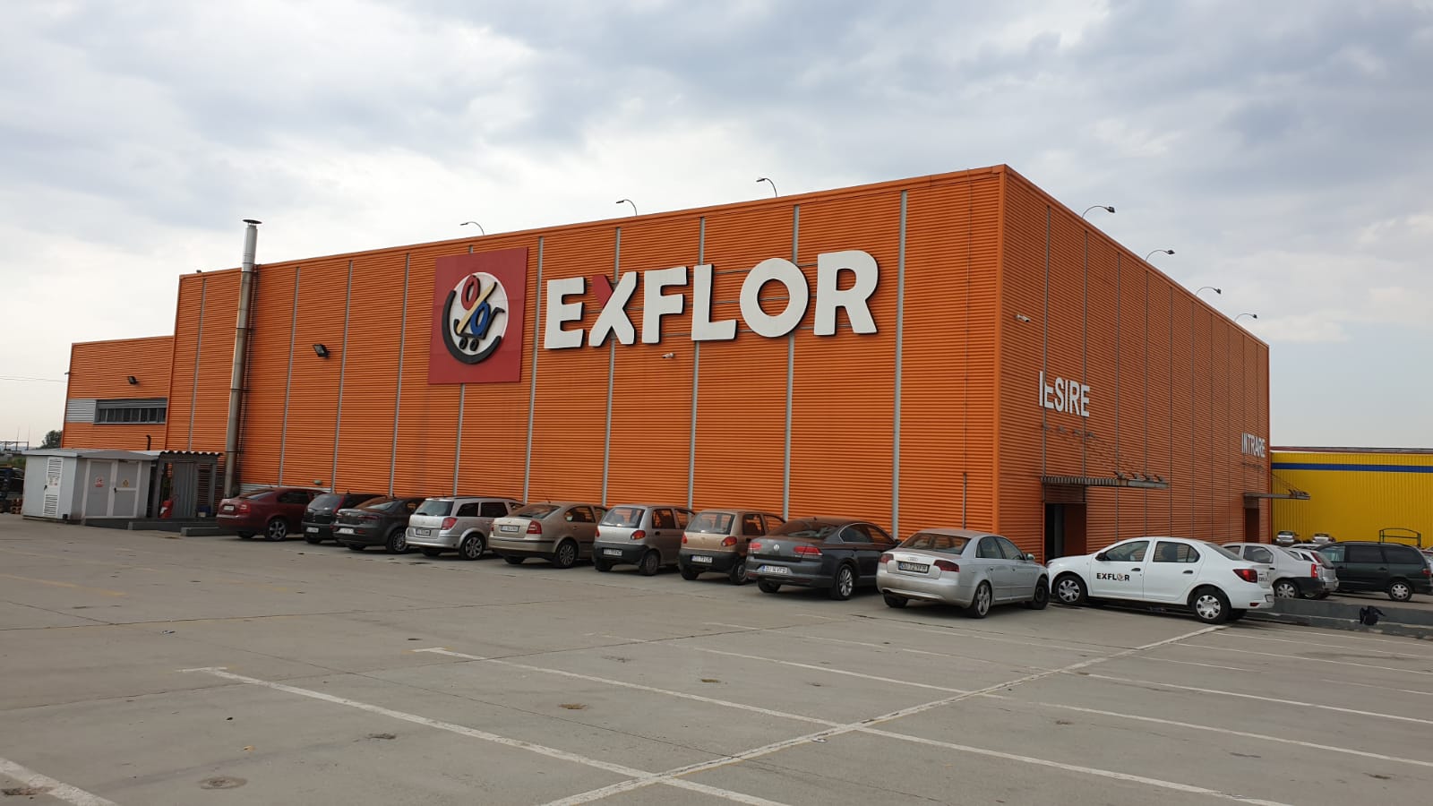 Afacere de succes: Exflor câştigă în „jungla“ comerţului, pariind pe ...