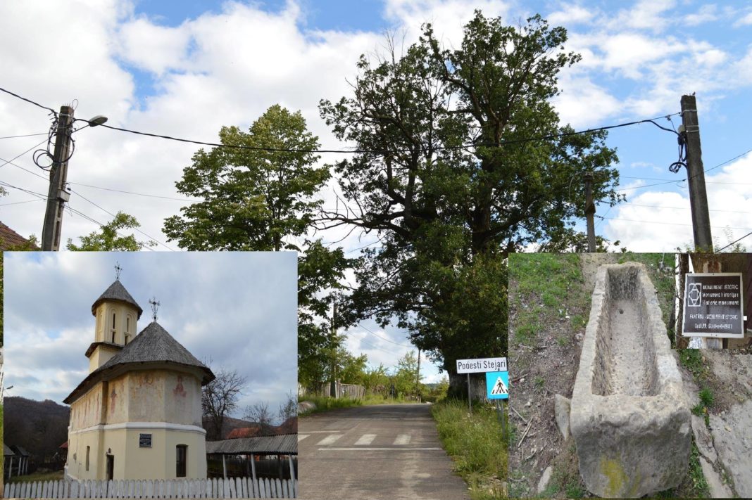 Amenzi pentru localnicii din Stejari care nu își curăță șanțurile de la ...