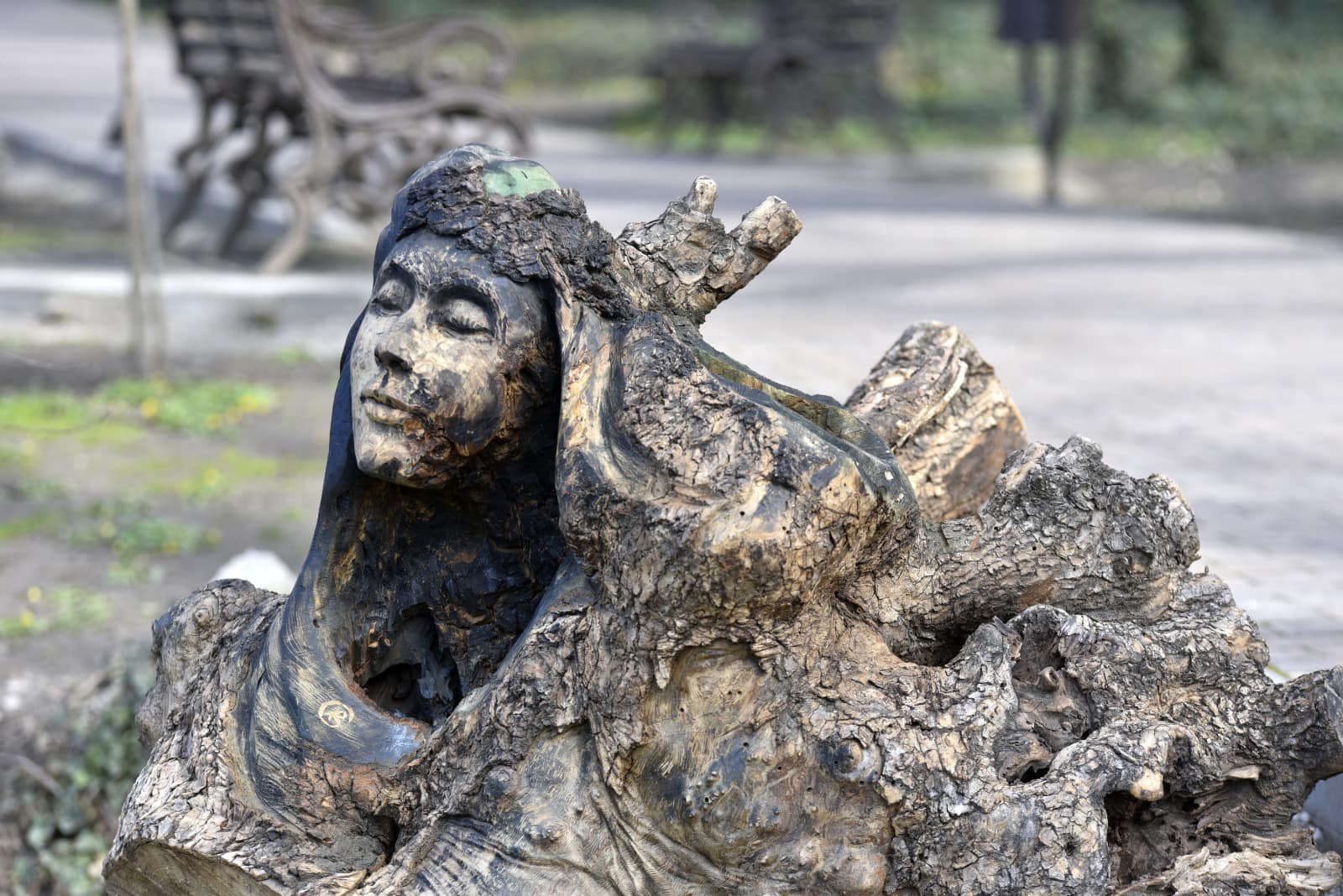 Noi statui din lemn pot fi admirate în parcurile Craiovei - GAZETA de SUD