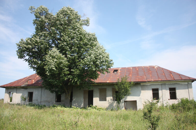 Conacul poetului Alexandru Macedonski, reabilitat de CJ Dolj.Casa ...