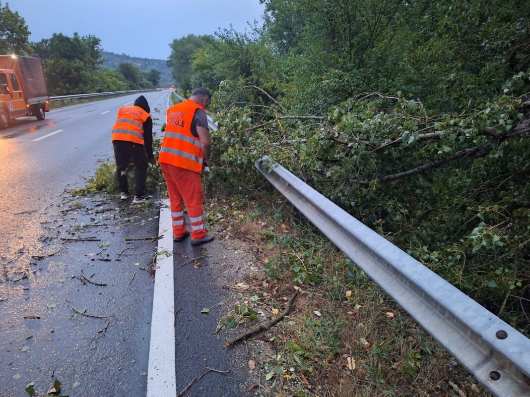 Intervenții ale DRDP Craiova în urma furtunilor din seara trecută ...