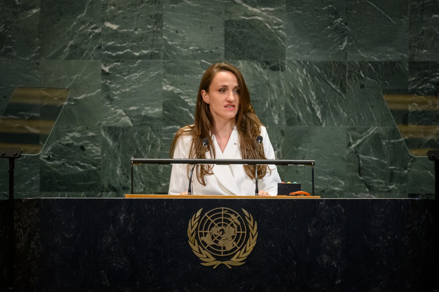 Oana Țoiu a susținut intervenția României în plenul Adunării Generale a ...